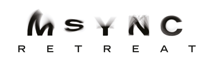 MSync - Stechlin Institut